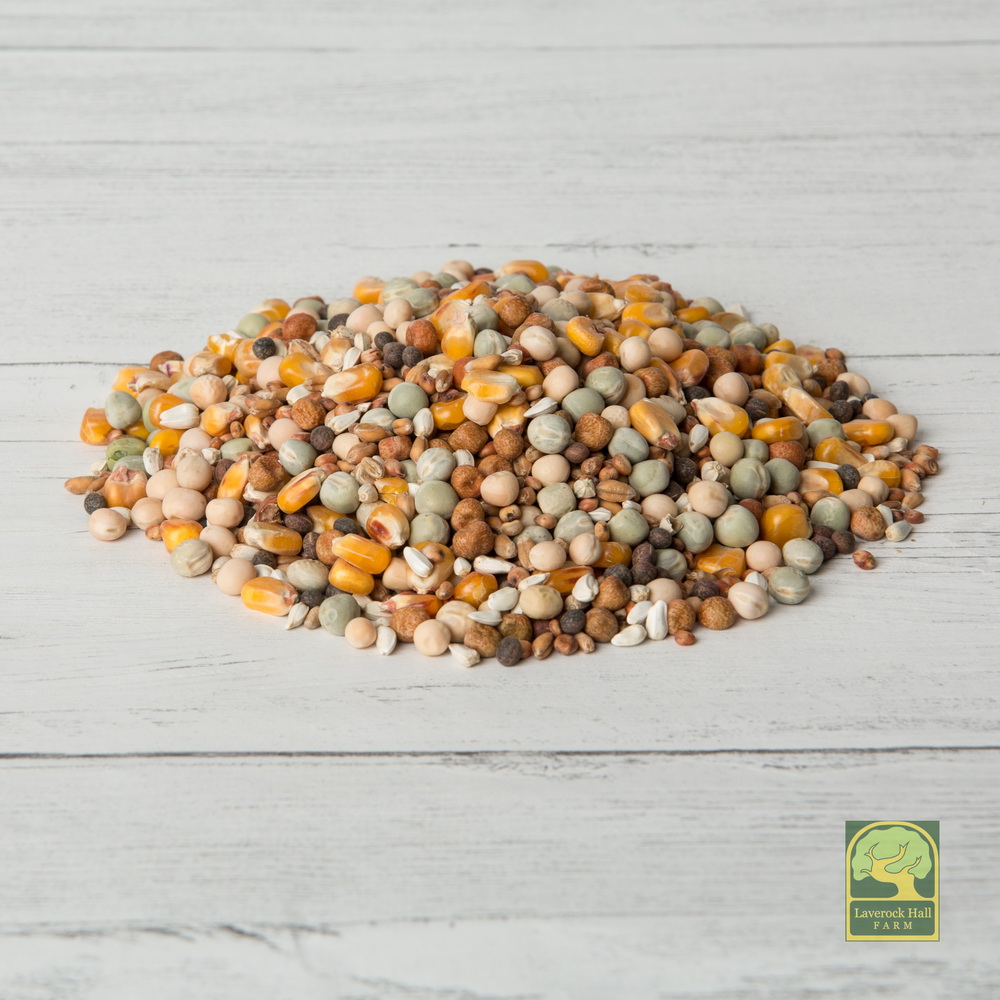 Racing Pigeon Food: Breeding Mix