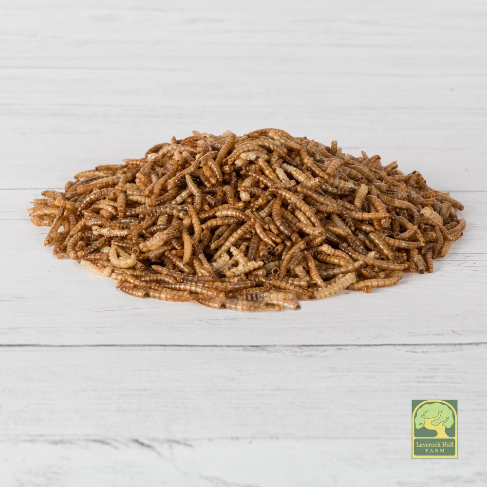 Wild Bird Food: Dried Mealworms